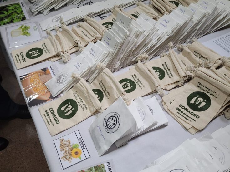 San Clemente lidera el intercambio de semillas y avanza hacia la ...